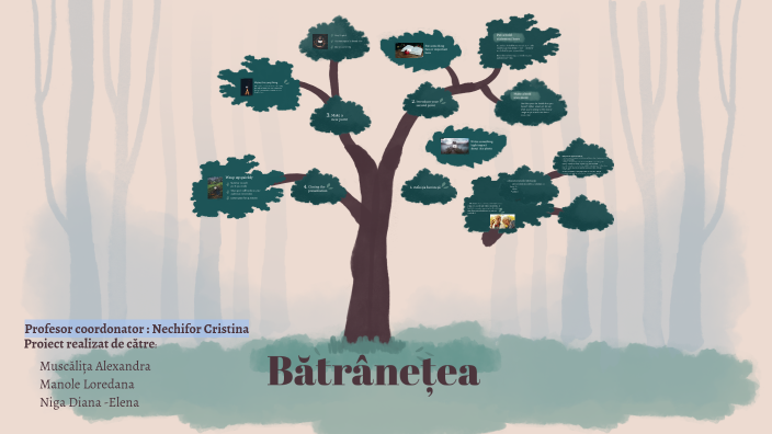 Batranetea by Loredana Manole on Prezi