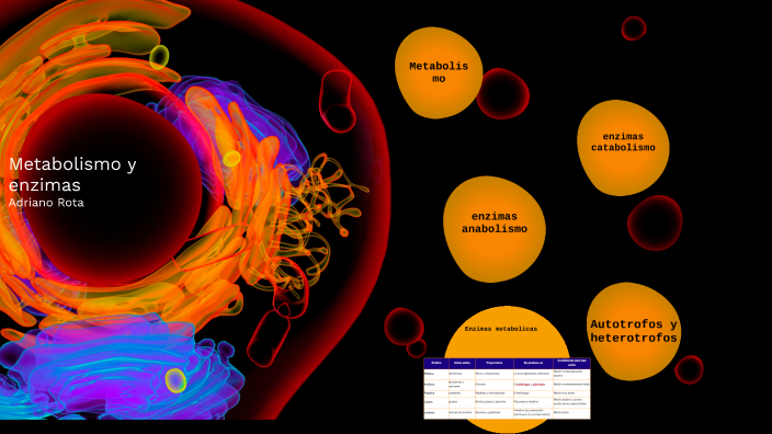 Metabolismo y enzimas by Adriano Rota on Prezi