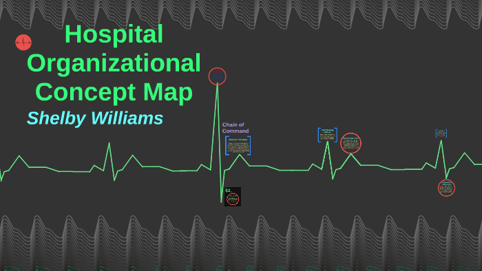 Hospital Organizational concept map by shelby williams on Prezi