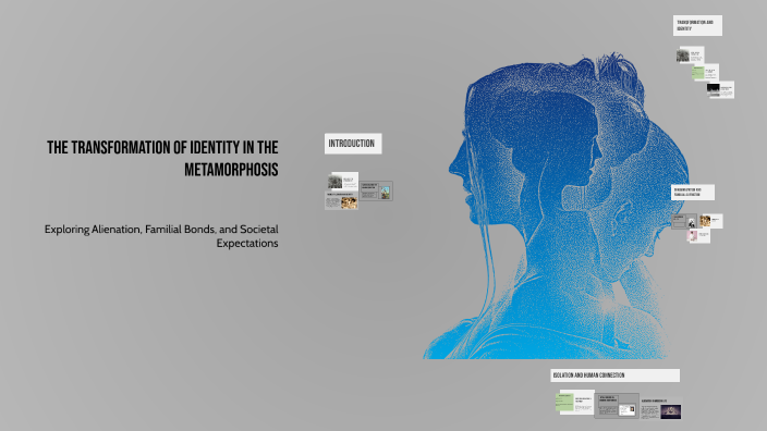 The Transformation of Identity in The Metamorphosis by Damaris Aviles ...