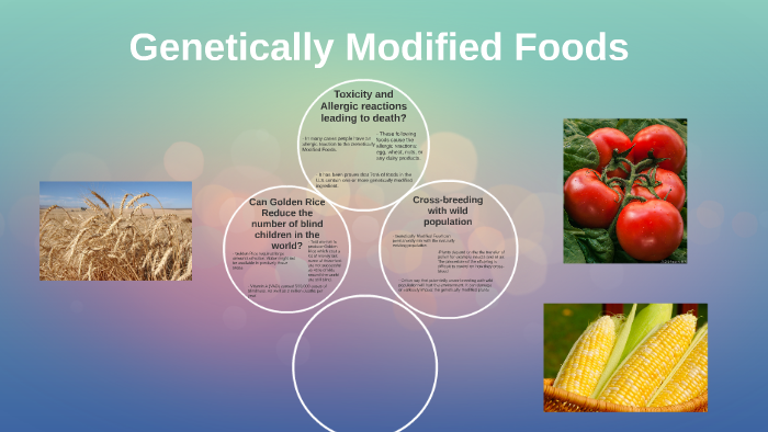 Gentically Modifed Foods by andres pagani on Prezi