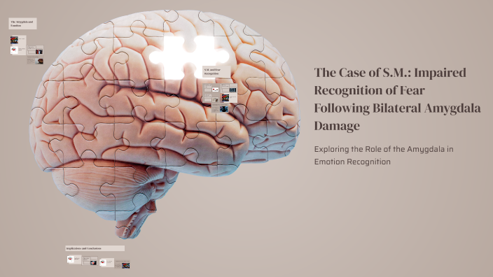 The Case of S.M.: Impaired Recognition of Fear Following Bilateral ...
