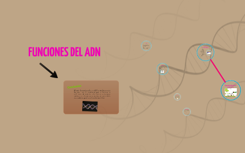 FUNCIONES DEL ADN by Andrea Palacios on Prezi