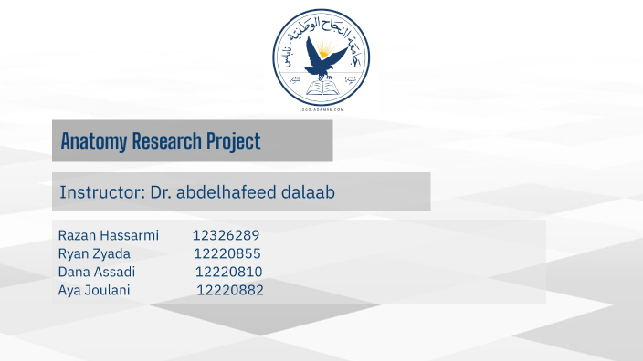 Comparative Anatomy of Digestive System: Koala vs. Wolf by razan ...