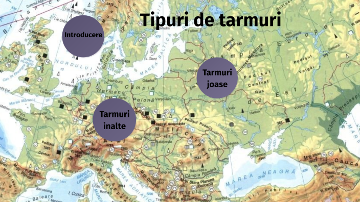 Tipuri de tarmuri by Stefania Andreea on Prezi