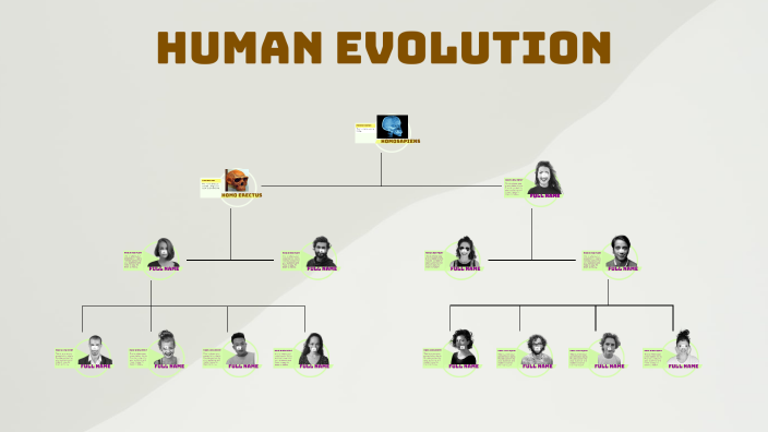 Human Evolution Family Tree by Liz Becerra Espinosa on Prezi