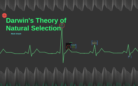 Darwin's Theory of Natural Selection by Elinor Rose on Prezi