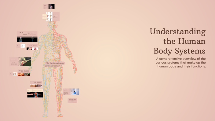 Understanding the Human Body Systems by Forest on Prezi