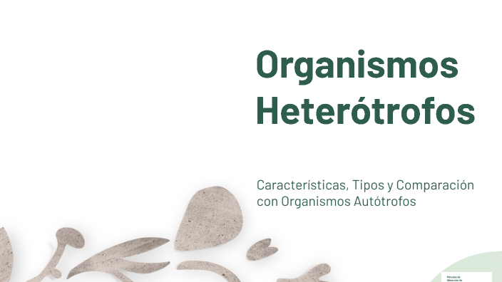 Organismos Heterótrofos 6 by Karen Lamar on Prezi