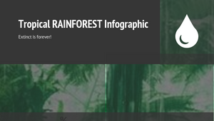 Tropical rainforest Infographic by Innocent Hakizimana on Prezi Design