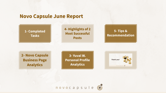 Novo Capsule June Report by Skylimited Marketing on Prezi