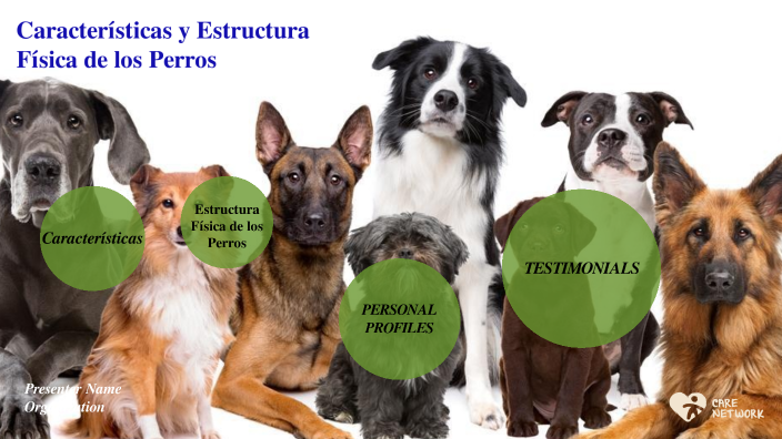 Características y Estructura Física de los Perros by NADEA MARTINEZ on ...