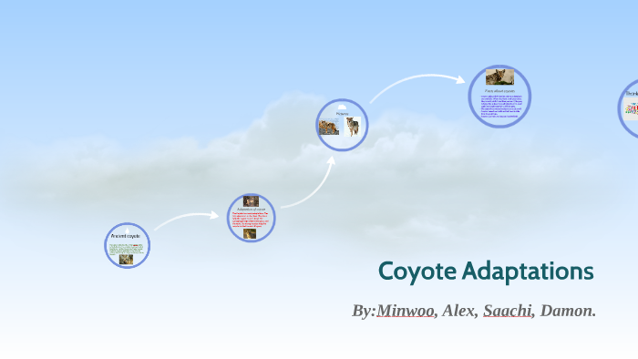Coyote adaptations by Alexandre de Villeneuve on Prezi