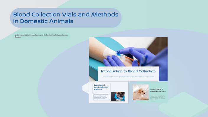 Blood Collection Vials and Methods in Domestic Animals by Mohsinkhan ...