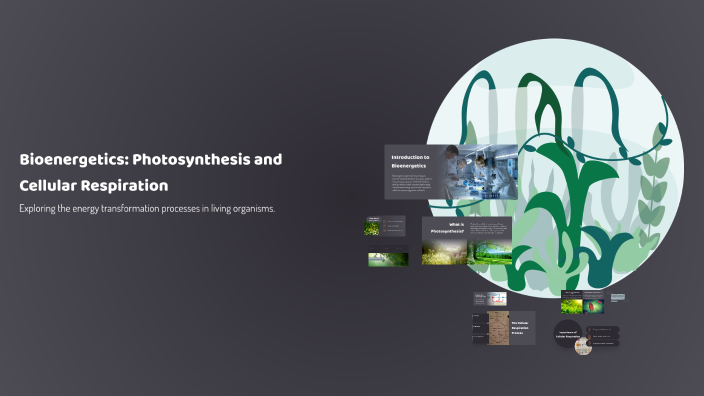 Bioenergetics: Photosynthesis and Cellular Respiration by RONALD CANUOS ...