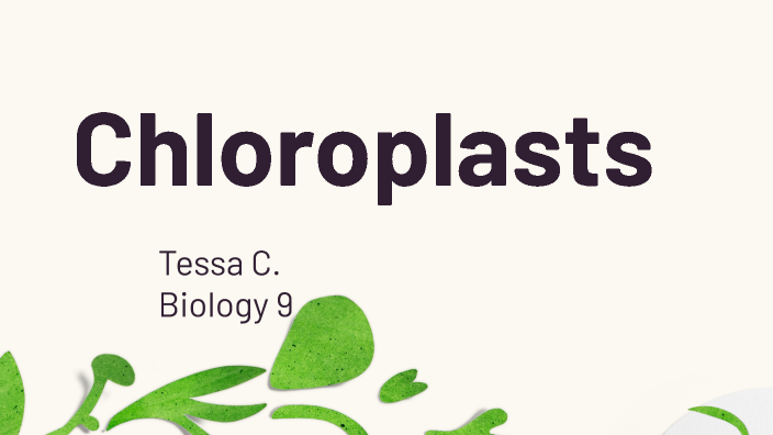Tessa C. - Organelle Poster~Chloroplasts by Tessa C on Prezi