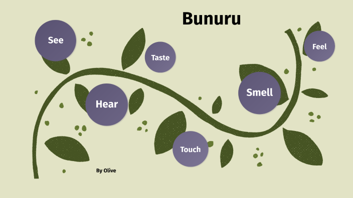 Indigenous Calendar by Olive Croucher on Prezi