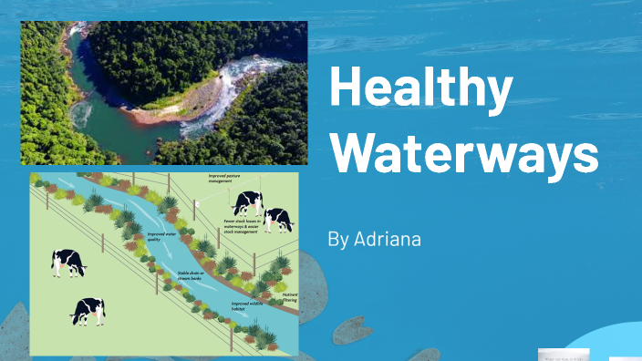 Healthy Waterways by adriana cooksley on Prezi