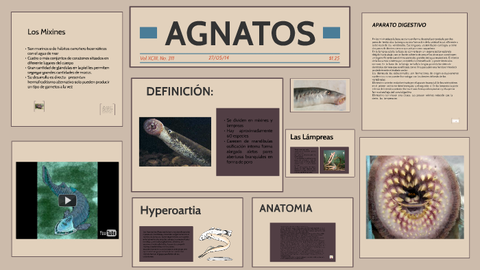 AGNATOS by Lucia Medina on Prezi