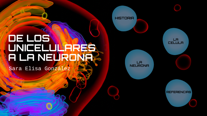 De los unicelulares a la neurona by Sara Elisa Yepes on Prezi