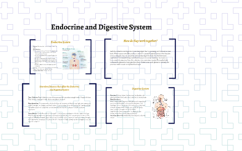 Endocrine and Digestive System by pace pace