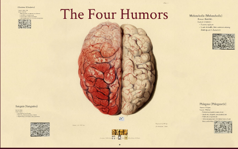 The Four Humours by Anna Boyce on Prezi