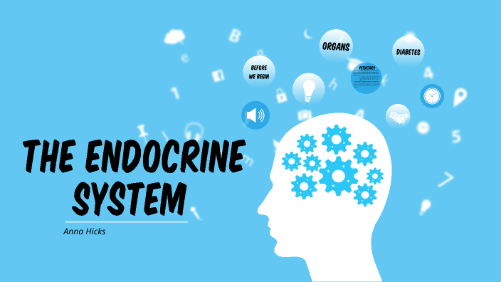 The Endocrine System by anna hicks on Prezi