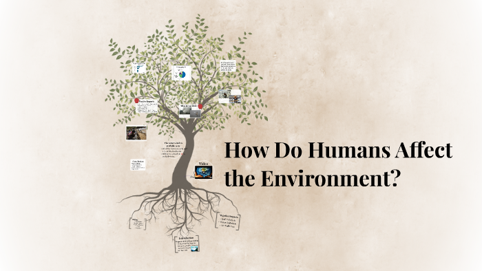 How Do Humans Affect the Environment? by Kitaoka Arisa on Prezi