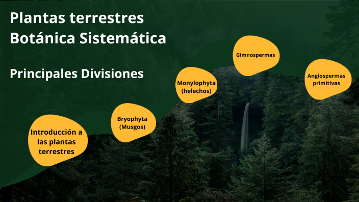 Plantas terrestres by Nicolás Ignacio Villalobos V on Prezi