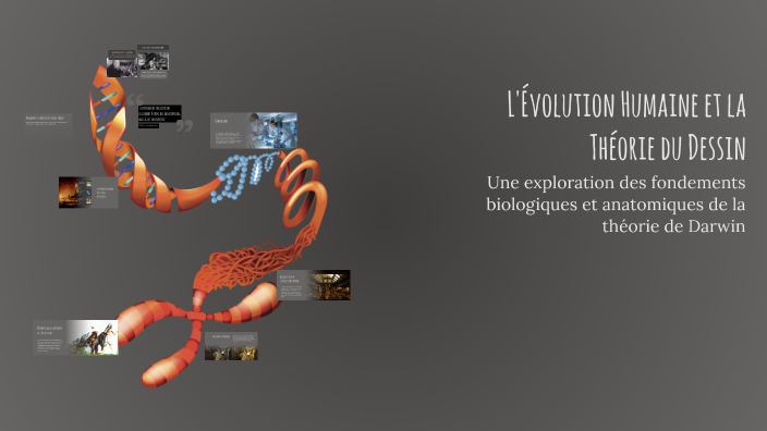 L'Évolution Humaine et la Théorie du Dessin by Malak Kihal on Prezi