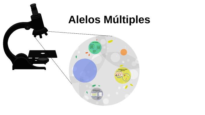 Alelos Multiples by Angie Fuentes Lopez on Prezi