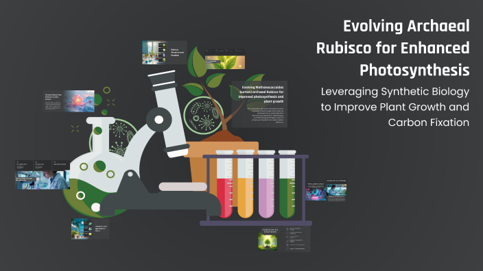 Evolving Archaeal Rubisco for Enhanced Photosynthesis by Navam on Prezi