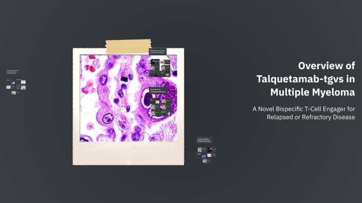 Overview of Talquetamab-tgvs in Multiple Myeloma by AJ Ebhonuaye on Prezi