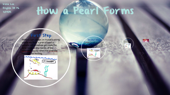 How a Pearl Forms by on Prezi
