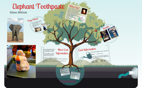 Elephant Toothpaste by Ethan Mitkish on Prezi