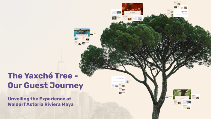 The Yaxché Tree - Our Guest Journey by Hilton Cancun on Prezi