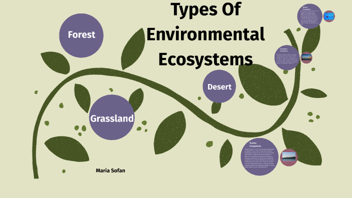 Types of Environmental Ecosystems by MARIA DE LOS ANGELES SOFAN LÓPEZ ...