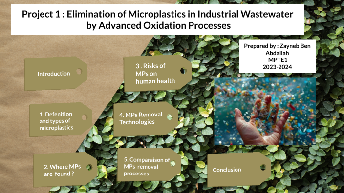 MICROPLASTICS by Zayneb BEN ABDALLAH on Prezi