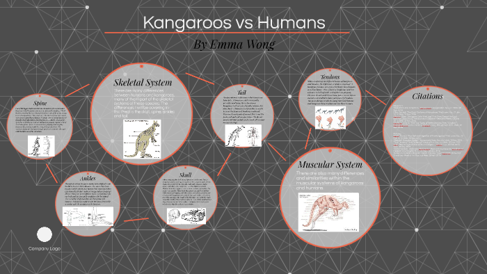 Kangaroos vs Humans by Emma Wong on Prezi