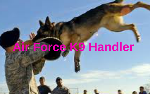 Air Force K9 Handler by Briana Juarezz on Prezi