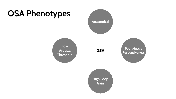 OSA Phenotypes by Fabian Bachl on Prezi