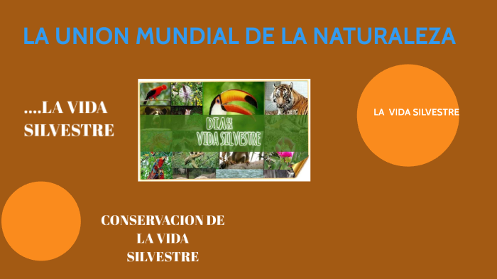 LA UNION MUNDIAL DE LA NATURALEZA by brenda itzol on Prezi