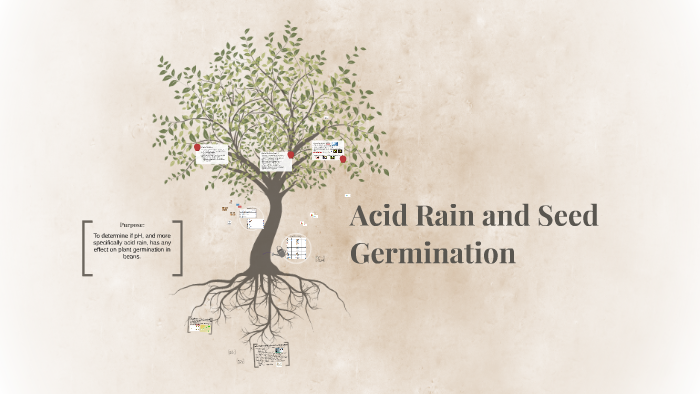Acid Rain and Seed Germination by N R on Prezi