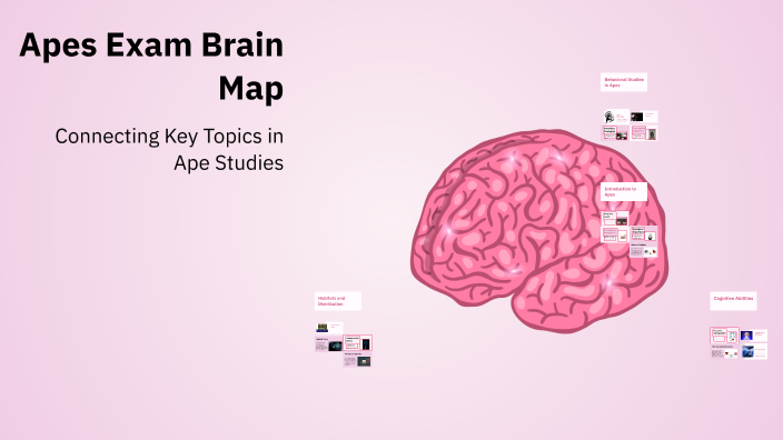 Apes Exam Brain Map by Kaeden Benner on Prezi