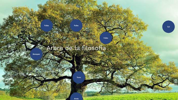 Arbre de la filosofia by - ALORDA MATEU SEBASTIA - [4t ESO B] on Prezi