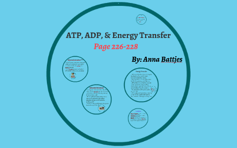 Intro to Photosynthesis by Lisa Knoper on Prezi