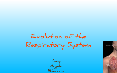 Evolution of the Respiratory System by Bhuvana Venkatesan on Prezi