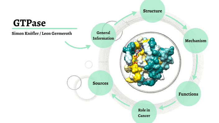 GTPase Presentation by leon Germeroth on Prezi