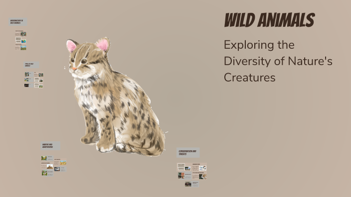 Wild Animals by Настя Сухомлин on Prezi