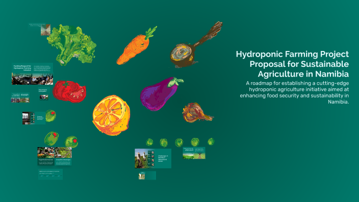 Hydroponic Farming Project Proposal for Sustainable Agriculture in ...